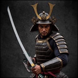 Shinwa Samurai Tachi Sword And Scabbard – 1045 Carbon Steel Blade, Cord ...